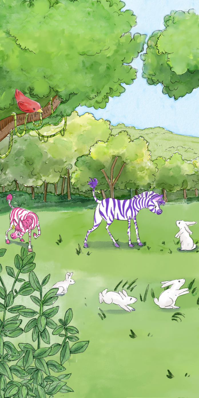 Zezu and Zezi - In the Rainbow Forest